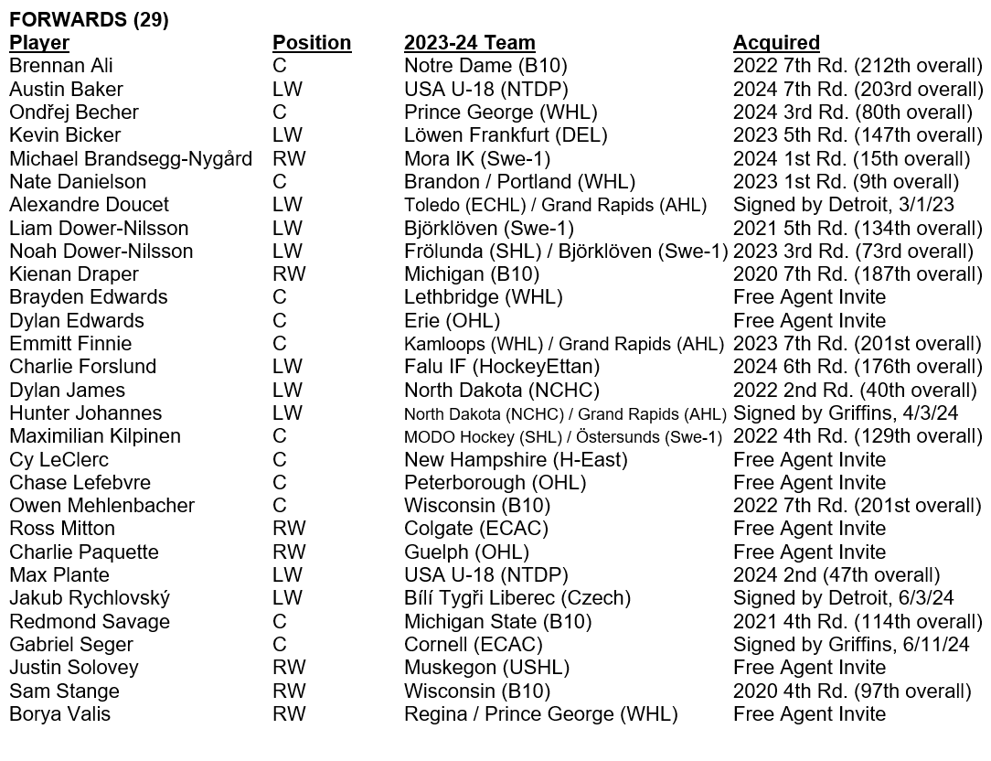 Press release: Red Wings name development camp roster – The Malik Report
